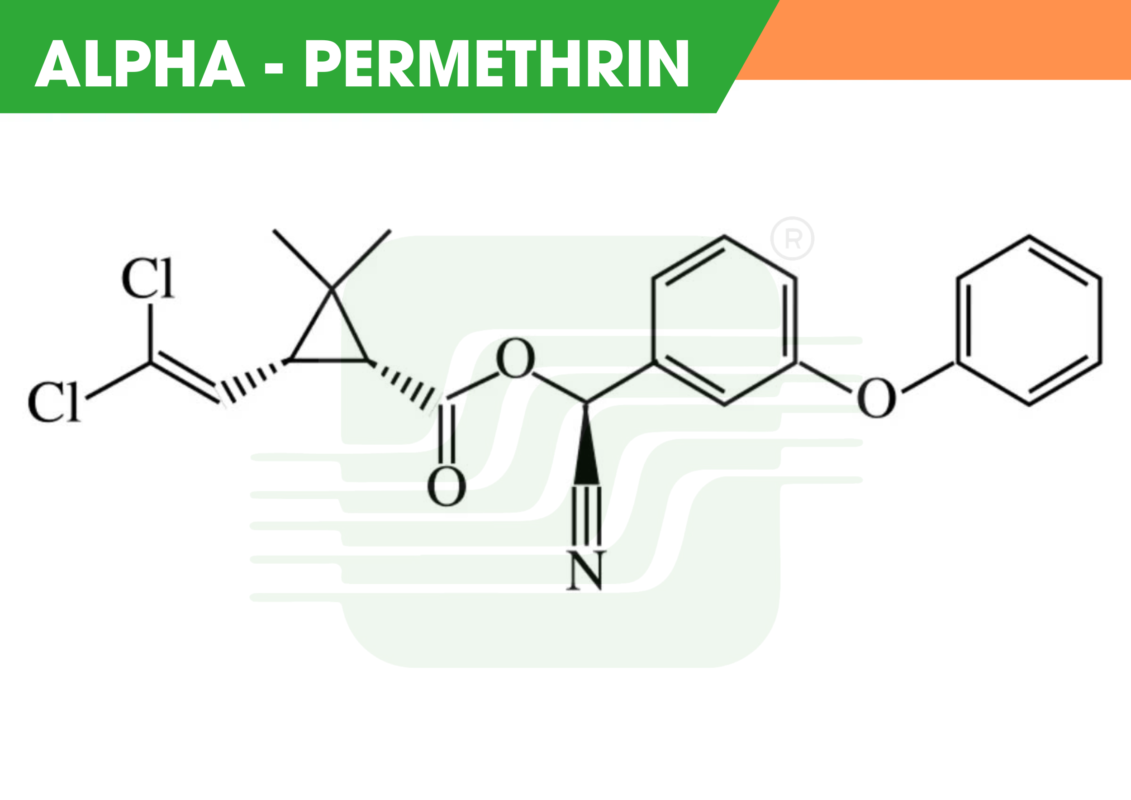ALPHA - CYPERMETHRIN: KHÁC BIỆT TRONG ỨNG DỤNG THUỐC TRỪ SÂU ĐỒNG RUỘNG ...