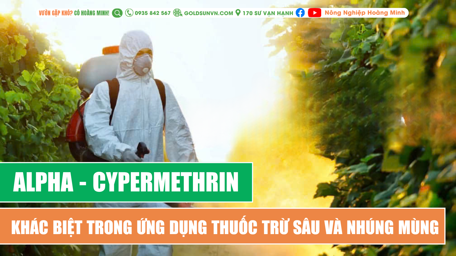 ALPHA - CYPERMETHRIN: KHÁC BIỆT TRONG ỨNG DỤNG THUỐC TRỪ SÂU ĐỒNG RUỘNG ...