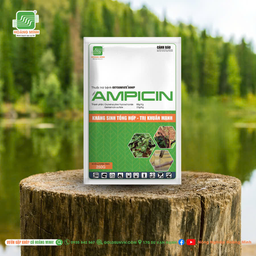 THUỐC TRỪ BỆNH AMPICIN - KHÁNG SINH TỔNG HỢP, TRỊ KHUẨN MẠNH - Minh ...